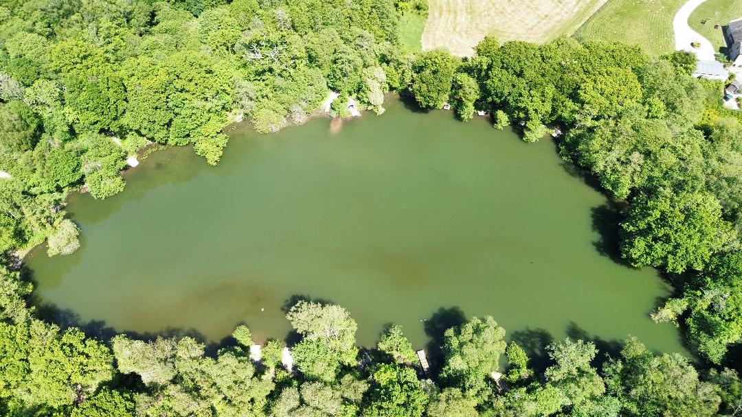 Bradley Pond - Newton Abbot Fishing Association